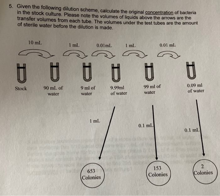 Solved 5. Given the following dilution scheme, calculate the | Chegg.com