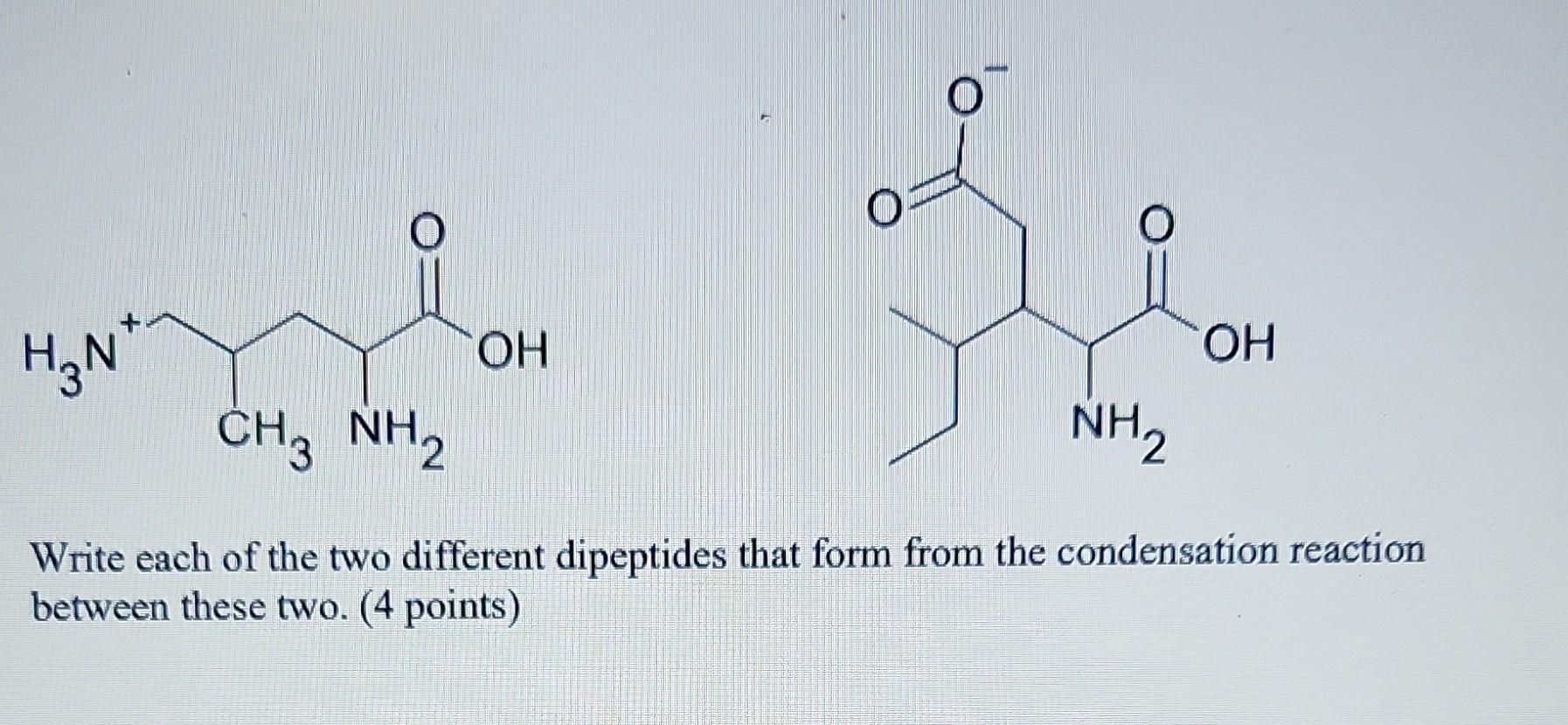 Solved Write each of the two different dipeptides that form | Chegg.com