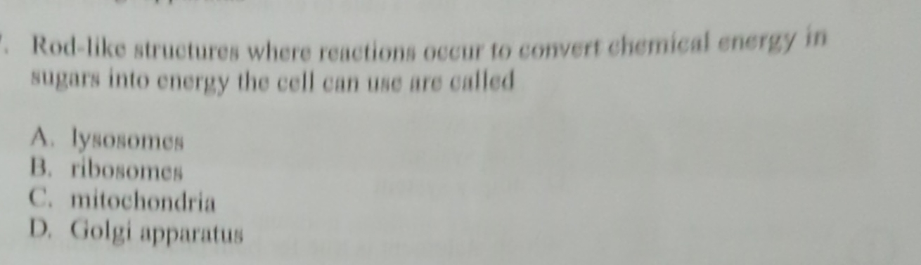 Solved Rod-like structures where reactions occur to convert | Chegg.com