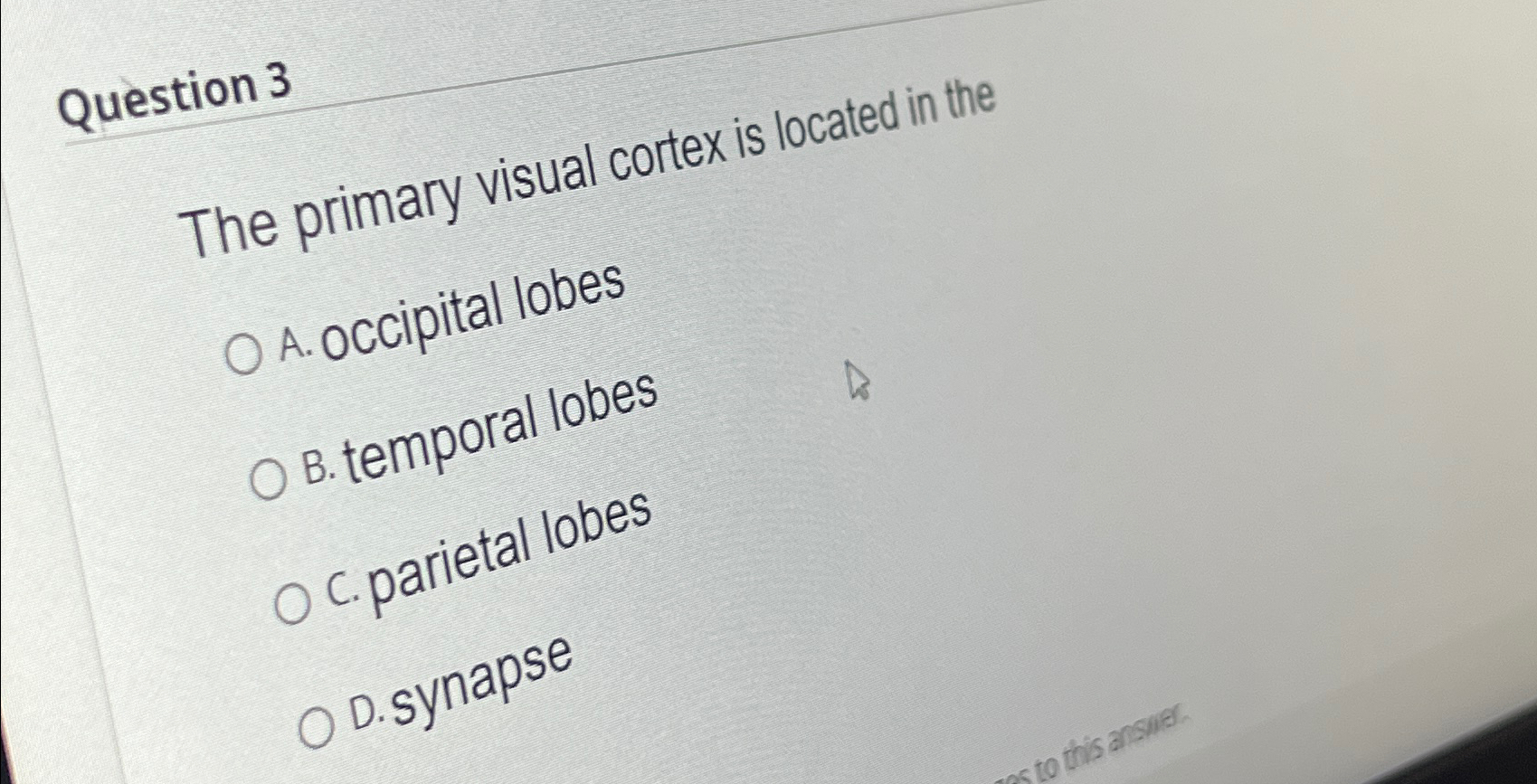 Solved Question 3The primary visual cortex is located in | Chegg.com