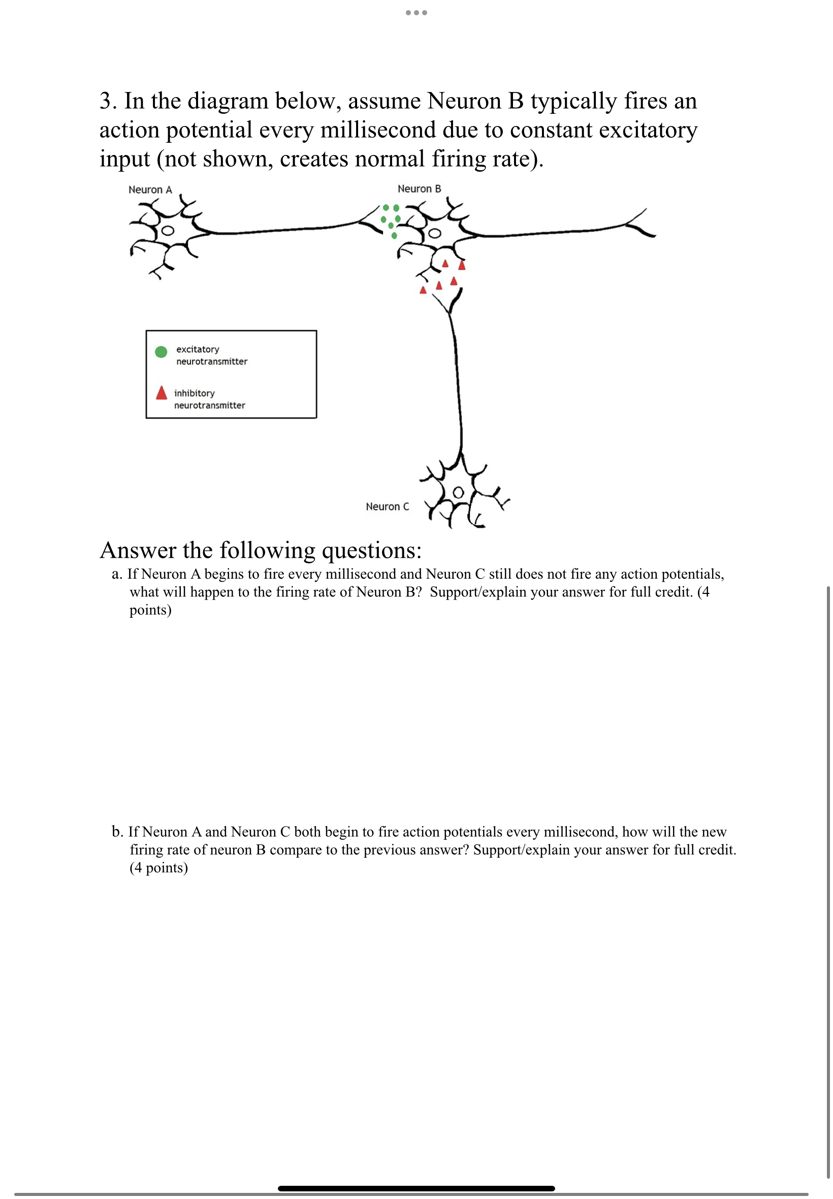 Solved 3. ﻿In the diagram below, assume Neuron B typically | Chegg.com