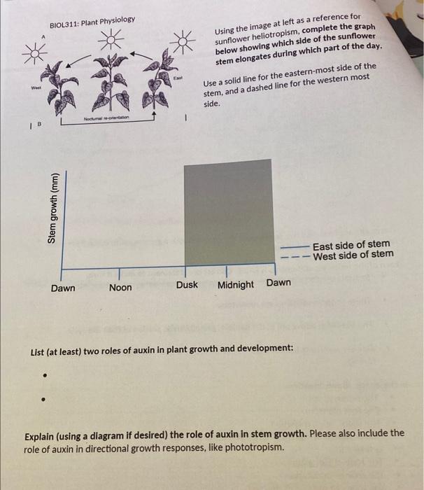Solved Using the image at left as a reference for sunflower | Chegg.com