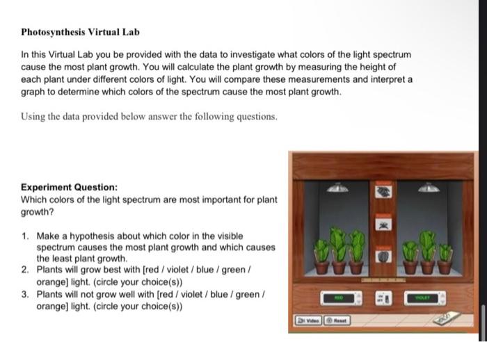 Solved 3. How did you test your hypothesis? 4. Which | Chegg.com