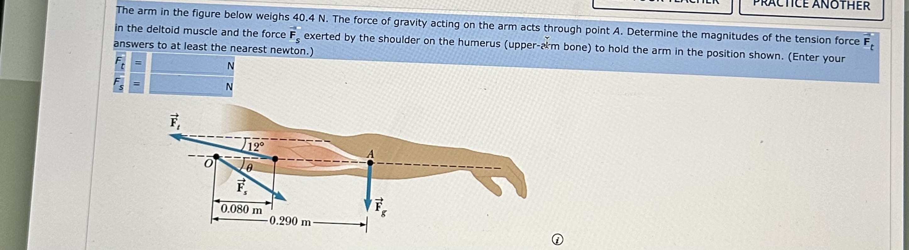 Solved The arm in the figure below weighs 40.4 ﻿N. ﻿The | Chegg.com