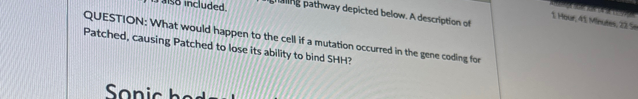 Solved QUESTION: What would happen to the cell if a mutation | Chegg.com