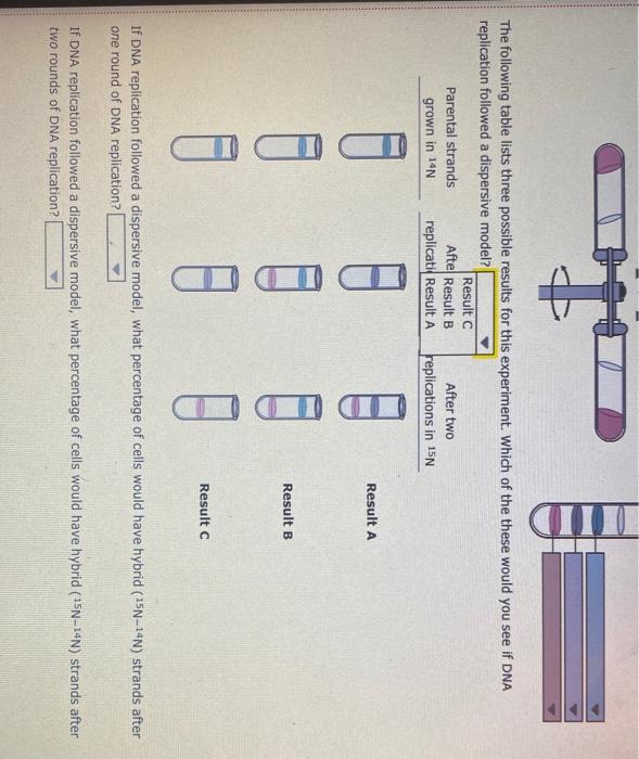 Solved ho The accuracy of DNA replication is maintained by | Chegg.com