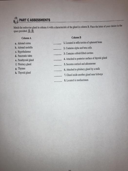 Solved PART C ASSESSMENTS Match the endocrine gland in | Chegg.com