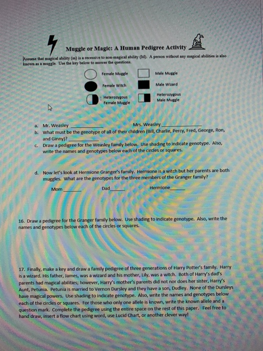 Solved Muggle or Magic: A Human Pedigree Activity Assume | Chegg.com