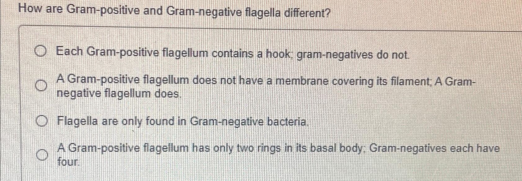 Solved How are Gram-positive and Gram-negative flagella | Chegg.com