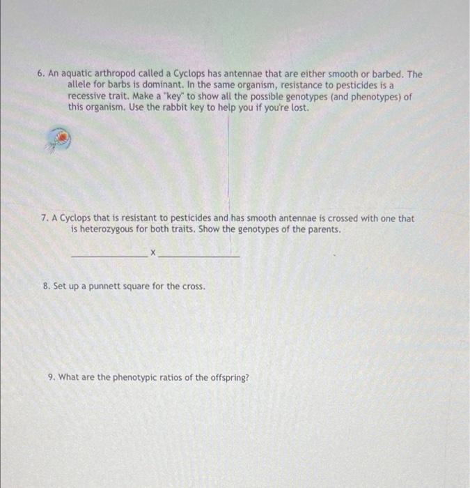 6. An aquatic arthropod called a Cyclops has antennae | Chegg.com