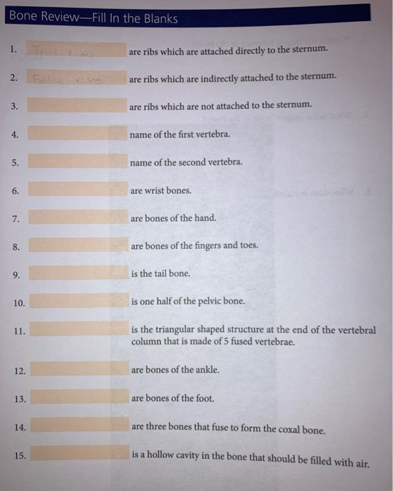 Solved Bone Review—Fill in the Blanks 1. are ribs which are | Chegg.com
