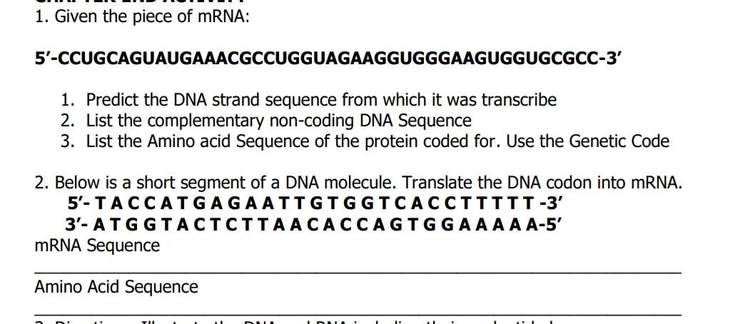 Solved 1. Given the piece of | Chegg.com