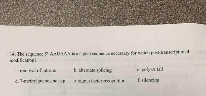 Solved 14. The sequence 5' AAUAAA is a signal sequence | Chegg.com