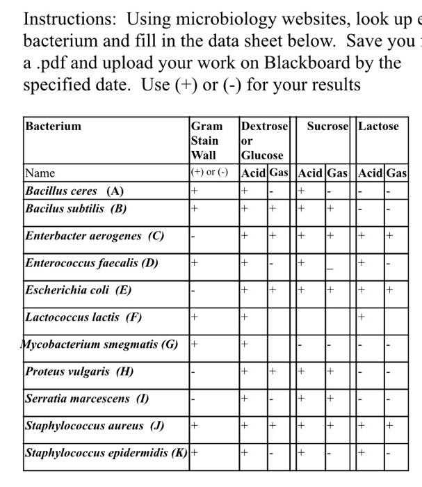 Solved Using the data sheet with the bacteria that are used | Chegg.com