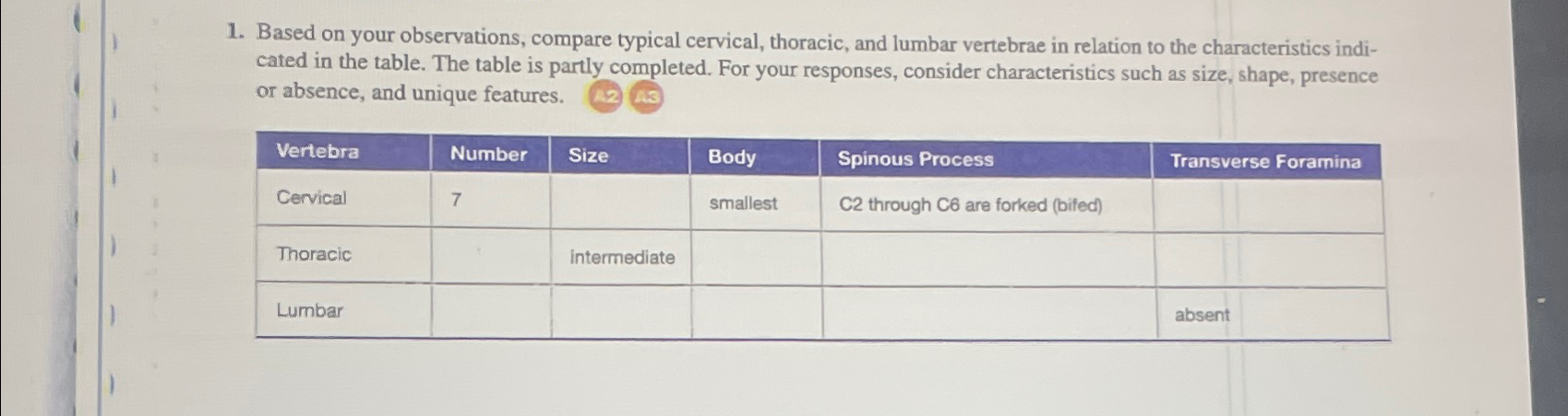 Based on your observations, compare typical cervical, | Chegg.com