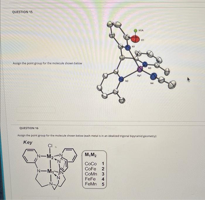 Solved QUESTION 15 Assign the point group for the molecule | Chegg.com
