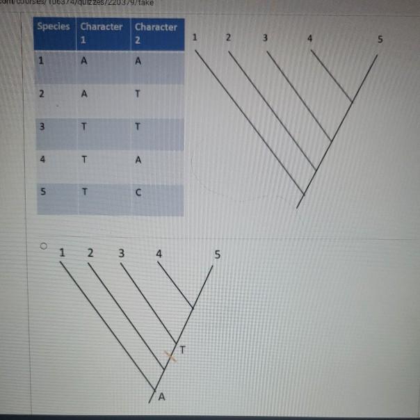 Based on the true phylogenetic tree and chracter | Chegg.com