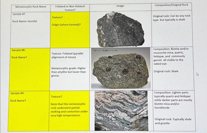 Solved Physical Geology Assignment 4s Metamorphic Rocks Part | Chegg.com