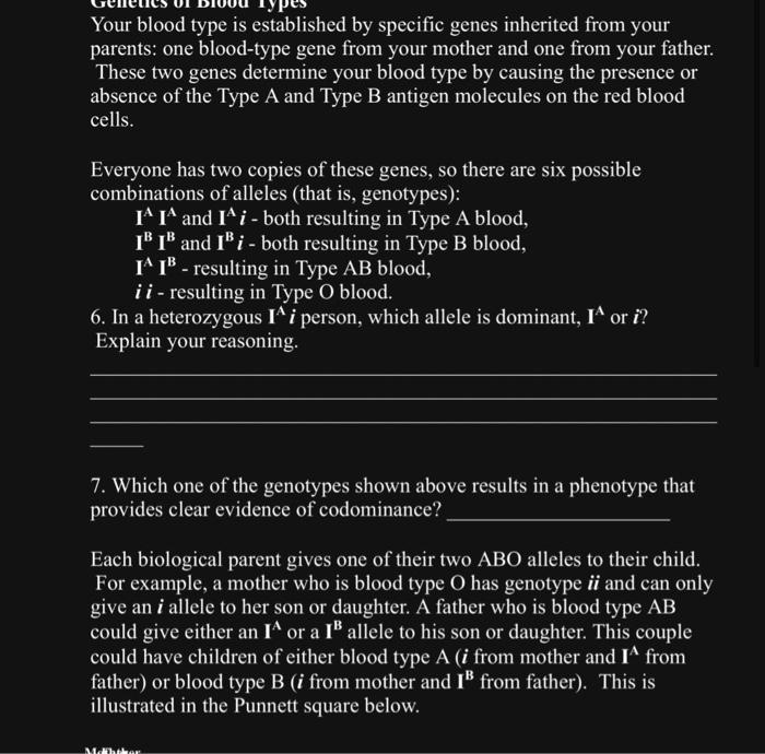 Solved Your blood type is established by specific genes | Chegg.com