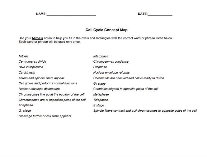 Solved NAME: DATE: Cell Cycle Concept Map Use your Mitosis | Chegg.com