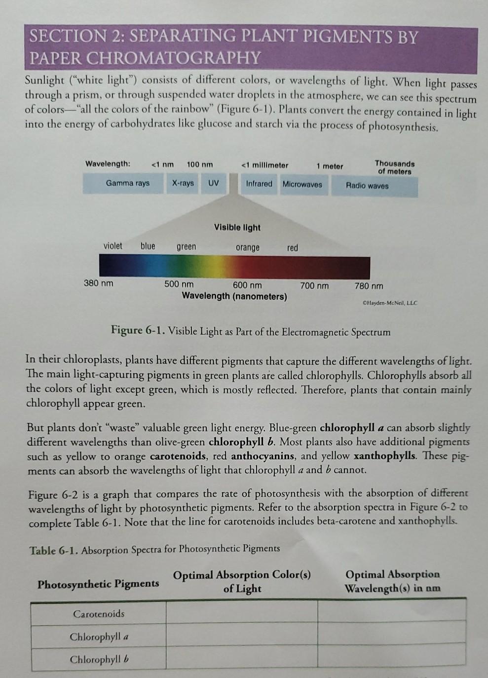 Solved SECTION 2: SEPARATING PLANT PIGMENTS BY PAPER | Chegg.com