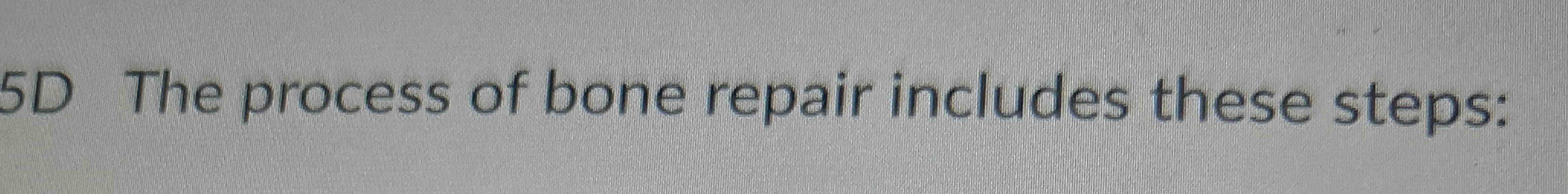 Solved 5D The process of bone repair includes these steps: | Chegg.com