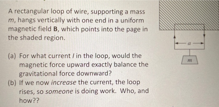 Solved A Rectangular Loop Of Wire Supporting A Mass M