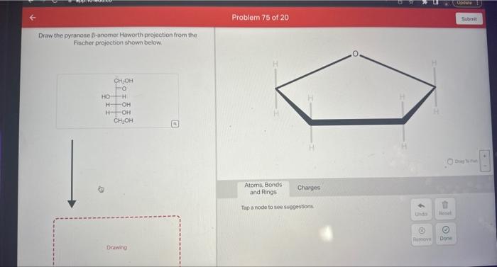 Solved Draw the pyranose p-anomer Haworth projection from | Chegg.com