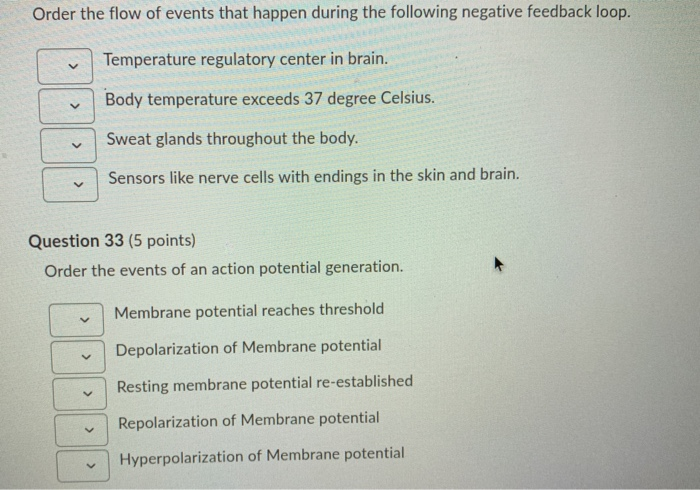 Solved Order the flow of events that happen during the | Chegg.com
