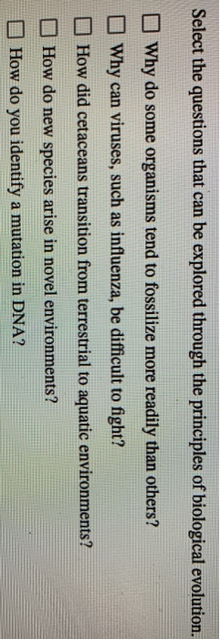 Solved Select the questions that can be explored through the | Chegg.com