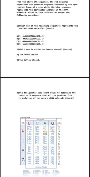 Solved From the above DNA sequence, the red sequence | Chegg.com