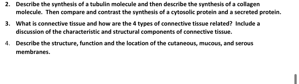 Solved Describe the synthesis of a tubulin molecule and then | Chegg.com
