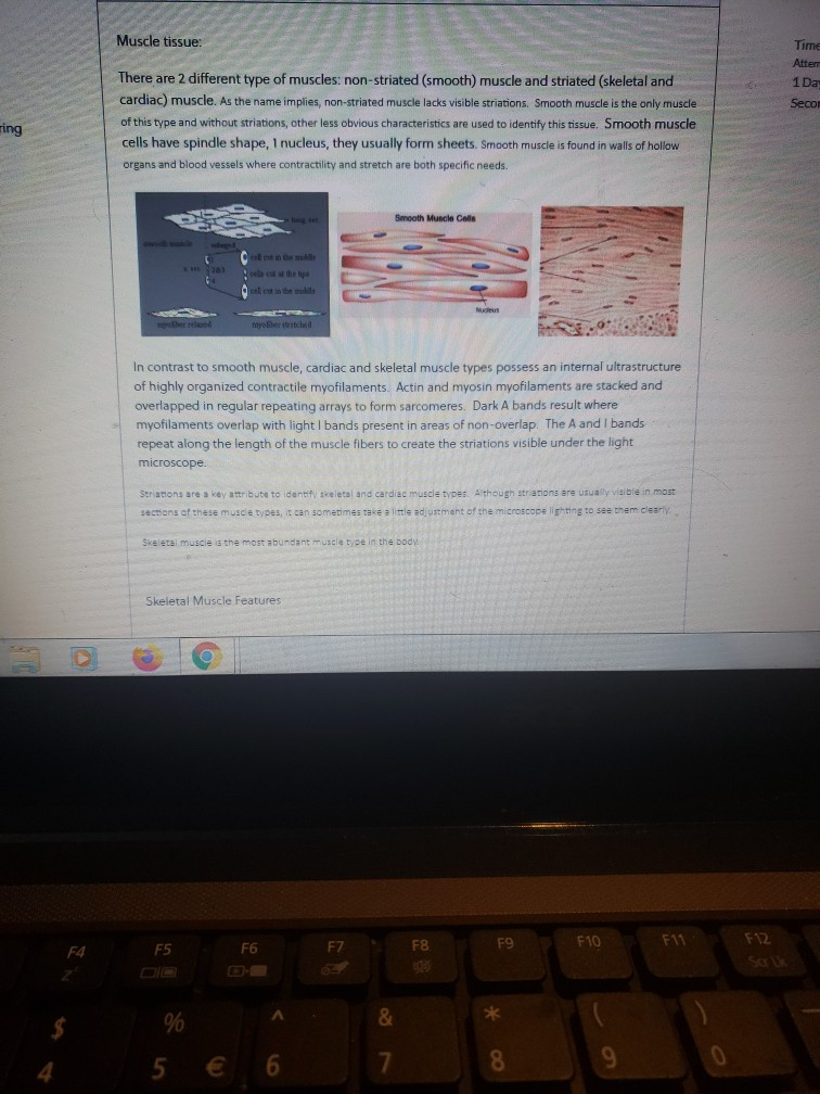 Solved Muscle tissue: Time Atter 1 Da Seco ring There are 2 | Chegg.com