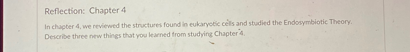 Solved Reflection: Chapter 4In chapter 4, ﻿we reviewed the | Chegg.com