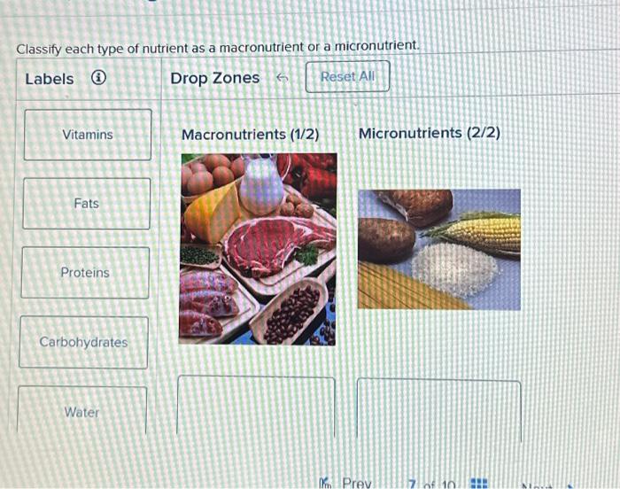 Solved Classify each type of nutrient as a macronutrient or | Chegg.com