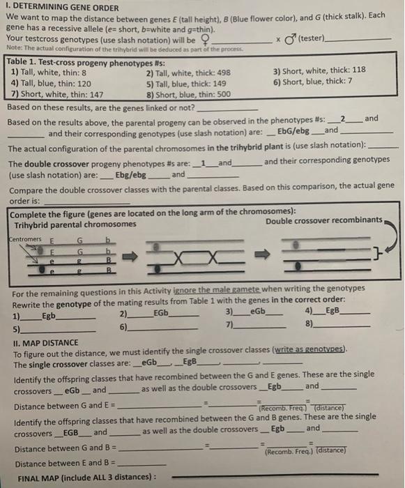 Solved I. DETERMINING GENE ORDER We want to map the distance | Chegg.com