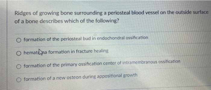 Solved Ridges of growing bone surrounding a periosteal blood | Chegg.com