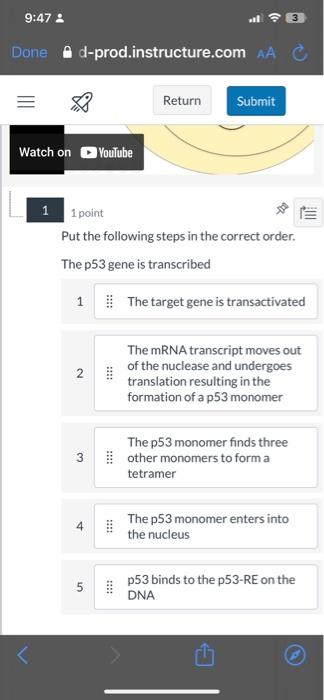 Solved Put the following steps in the correct order. The p53 | Chegg.com