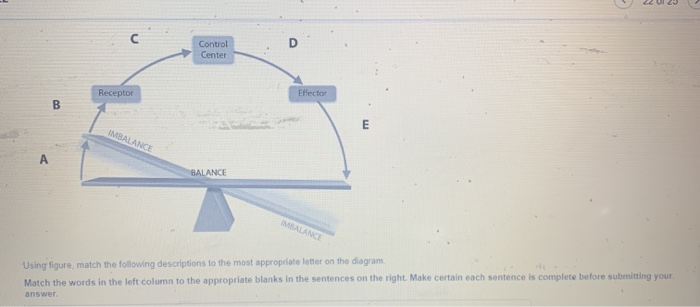 Solved 22 D Control Center Receptor Effector B E IMBALANCE А | Chegg.com
