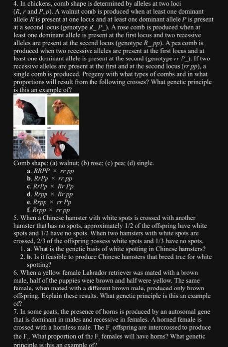 Solved 4. In chickens, comb shape is determined by alleles | Chegg.com