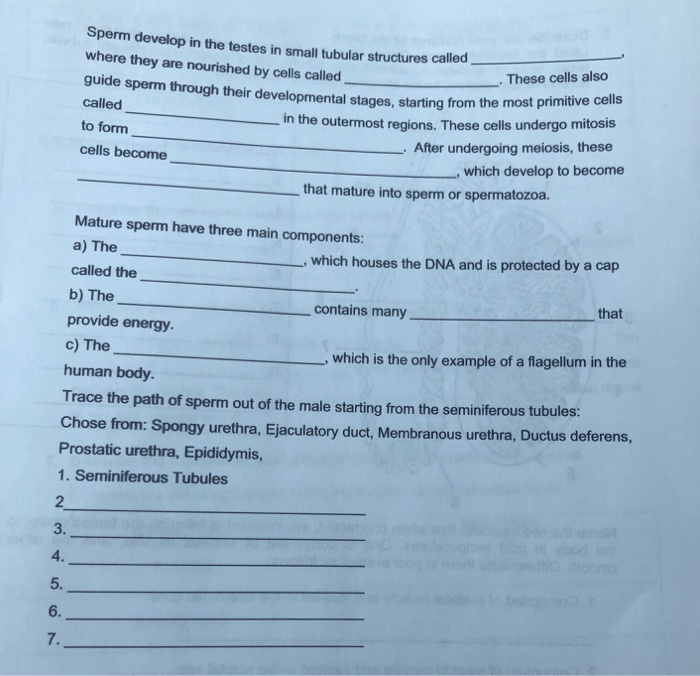 Solved Sperm develop in the testes in small tubular | Chegg.com