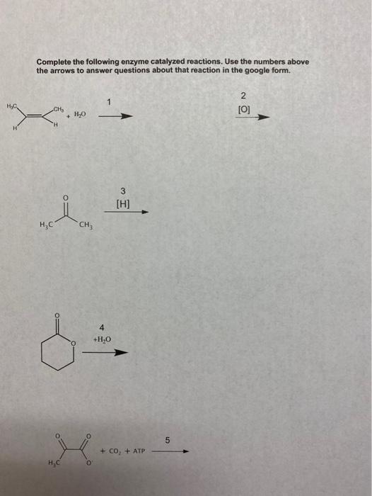 Complete the following enzyme catalyzed reactions. | Chegg.com
