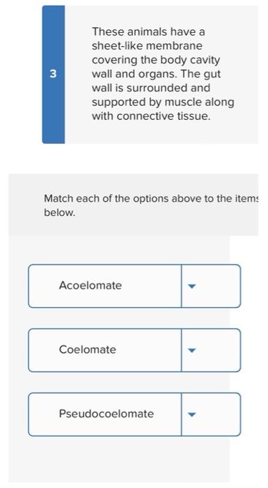 Solved In the embryo stage, triploblastic animals have three | Chegg.com