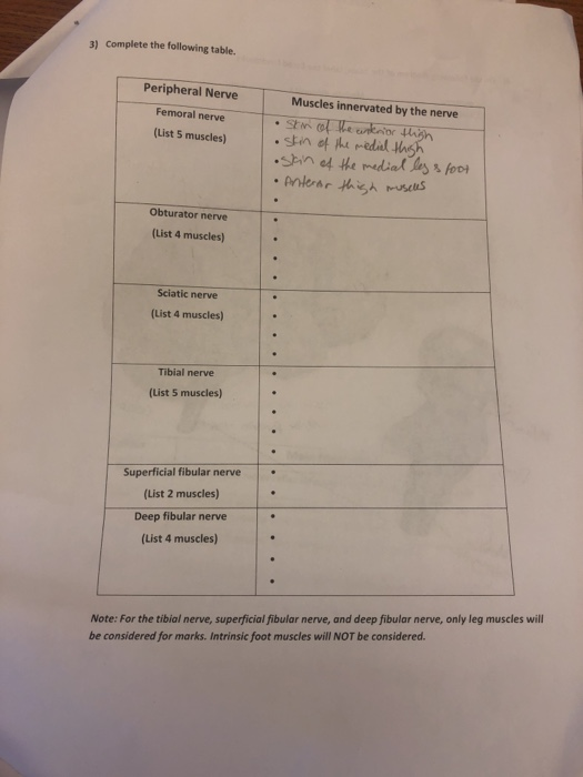 Solved 3) Complete the following table. Peripheral Nerve | Chegg.com