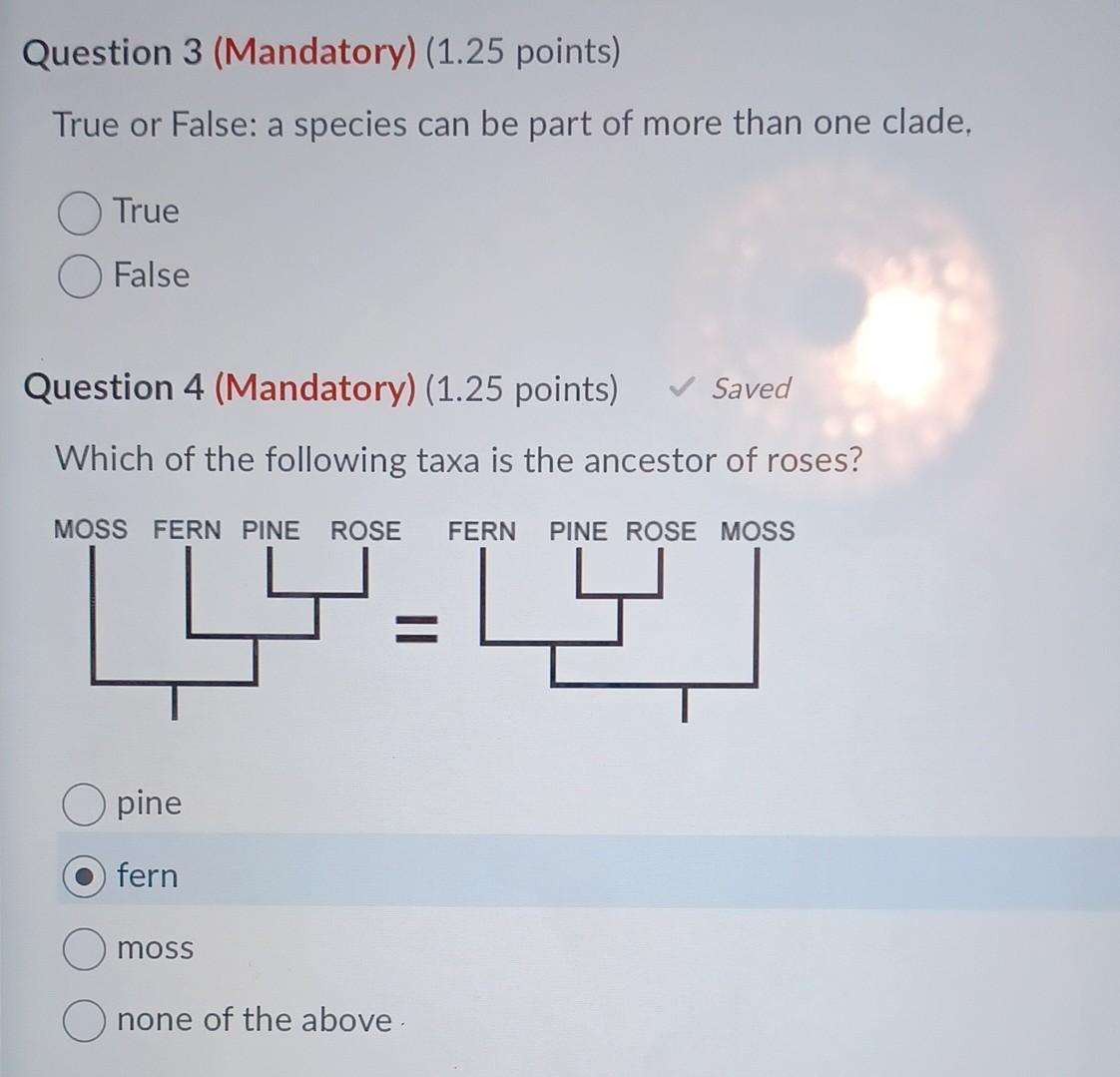 Solved A branching point (node) on a phylogenetic tree | Chegg.com