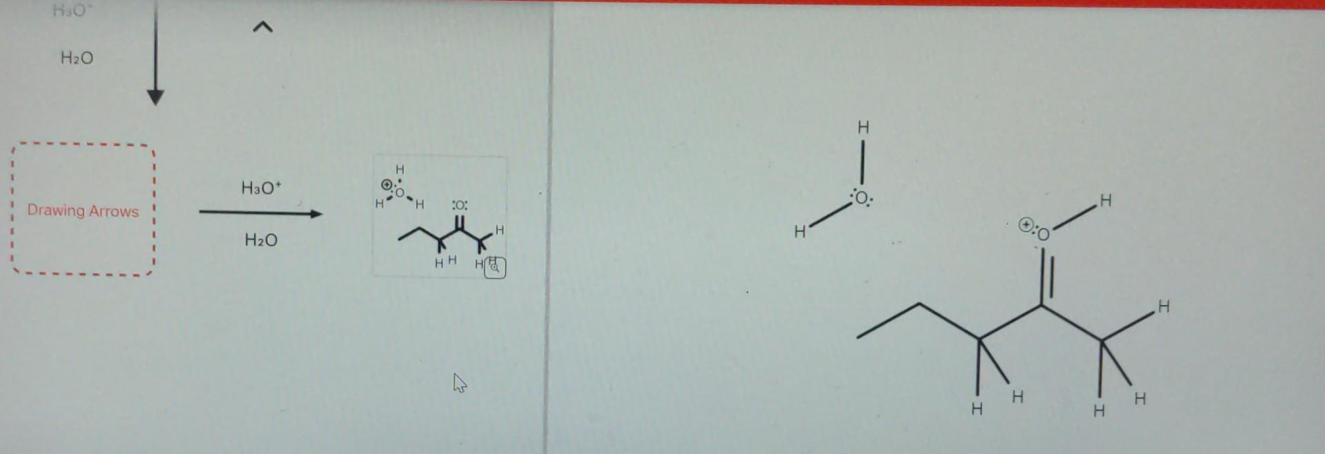 Solved The images on the right correspond to the red Drawing | Chegg.com