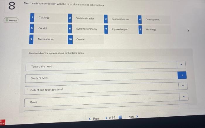 Solved Match each numbered item with the most closely | Chegg.com Solved Match each numbered item with the most closely | Chegg.com