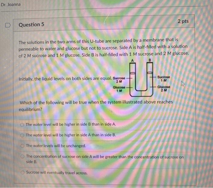 Solved Dr. Joanna 2 pts Question 5 The solutions in the two | Chegg.com Solved Dr. Joanna 2 pts Question 5 The solutions in the two | Chegg.com