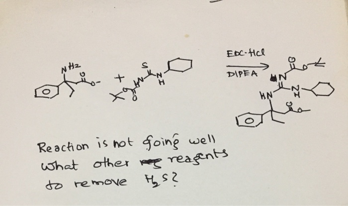 EDC-HCl NH2 Lot DIPEA UN WN Reaction is not goinę | Chegg.com