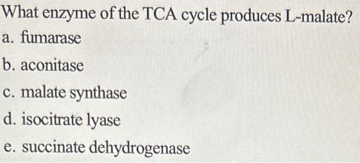 Solved What enzyme of the TCA cycle produces L-malate? a. | Chegg.com